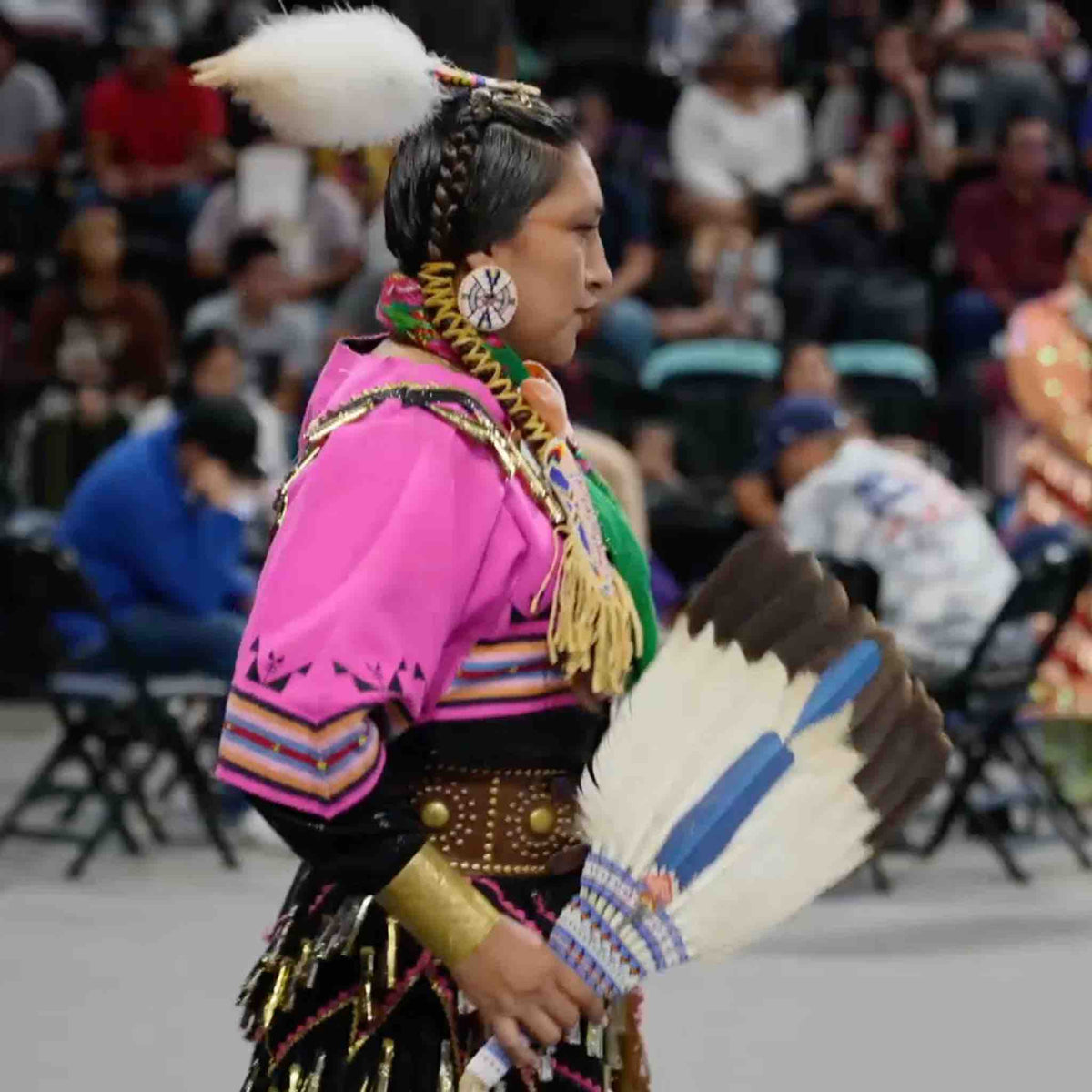 The Native American Renaissance – Green Planet Films